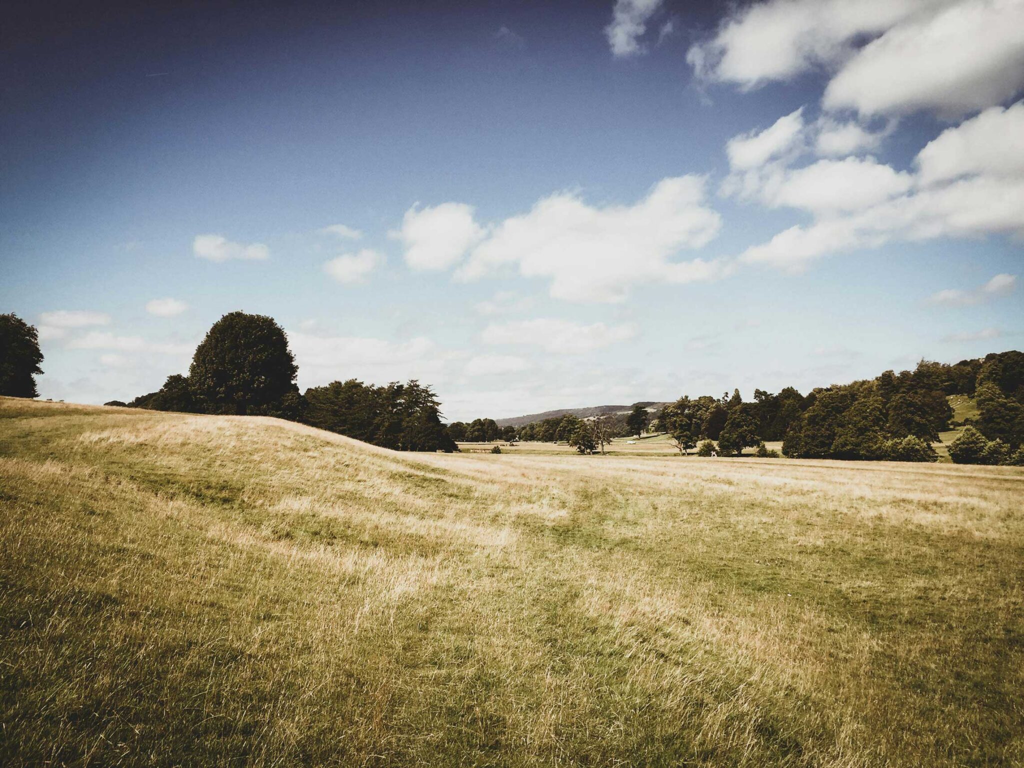 Stop The Pylons – Campaign to Block The Construction of Huge 50 Metre ...